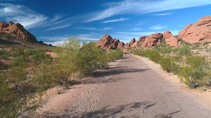 Mavric Electric Bikes | Foldable | All Terrain